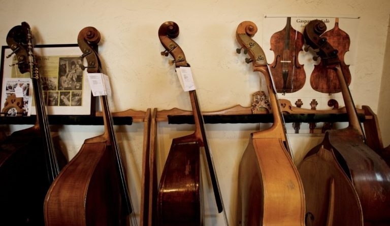 What Instruments Are Used in Opera? - Edge Pointtz